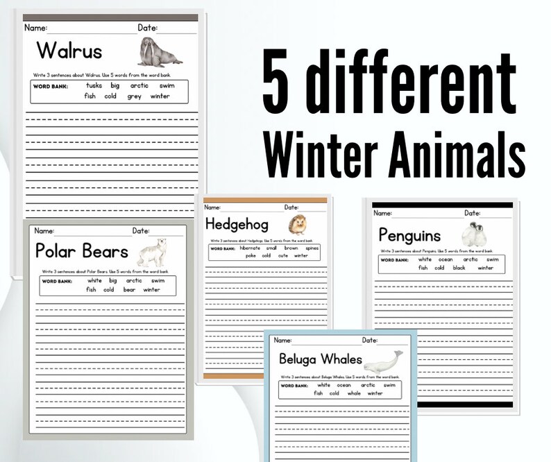 Winter Animals Writing 1st Grade. Beluga Whales, Penguins, Polar Bears ...