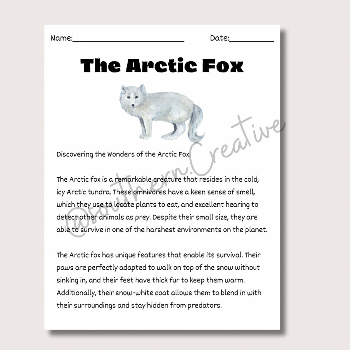 Arctic Fox Non Fiction Reading Comprehension Quiz Instant Download - Etsy