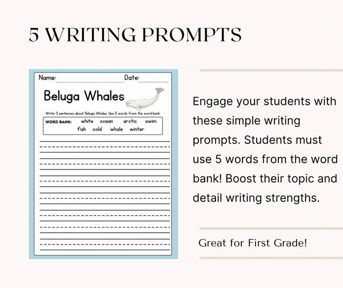 Winter Animals Writing 1st Grade. Beluga Whales, Penguins, Polar Bears ...