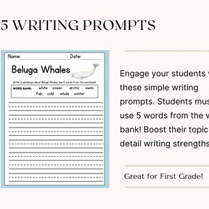 Winter Animals Writing 1st Grade. Beluga Whales, Penguins, Polar Bears ...