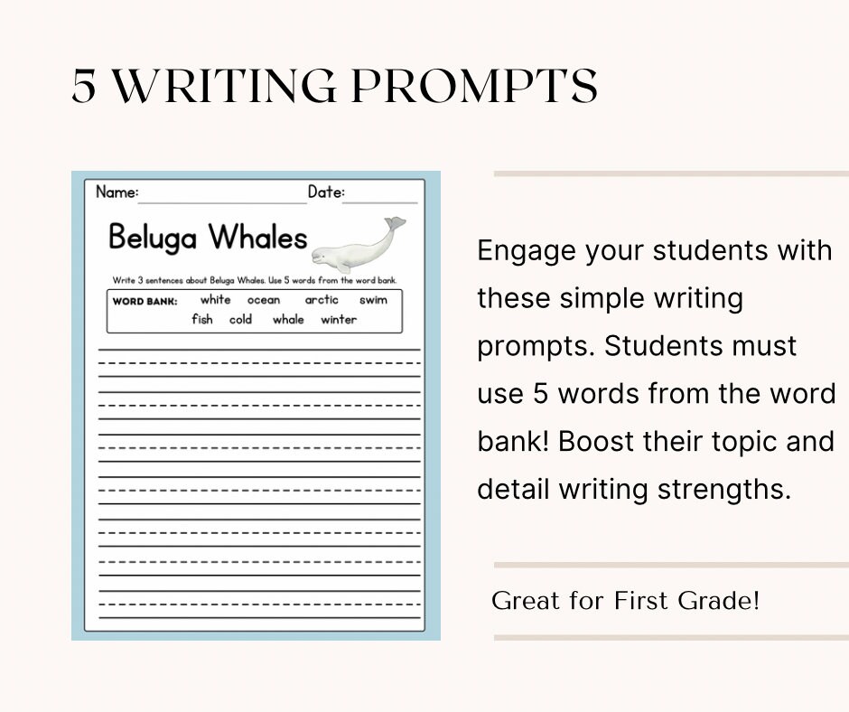 Winter Animals Writing 1st Grade. Beluga Whales, Penguins, Polar Bears ...