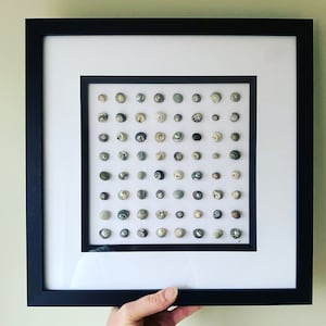 A Cornish Assembly Large Framed Shell Art Picture Periwinkle Shell Art ...