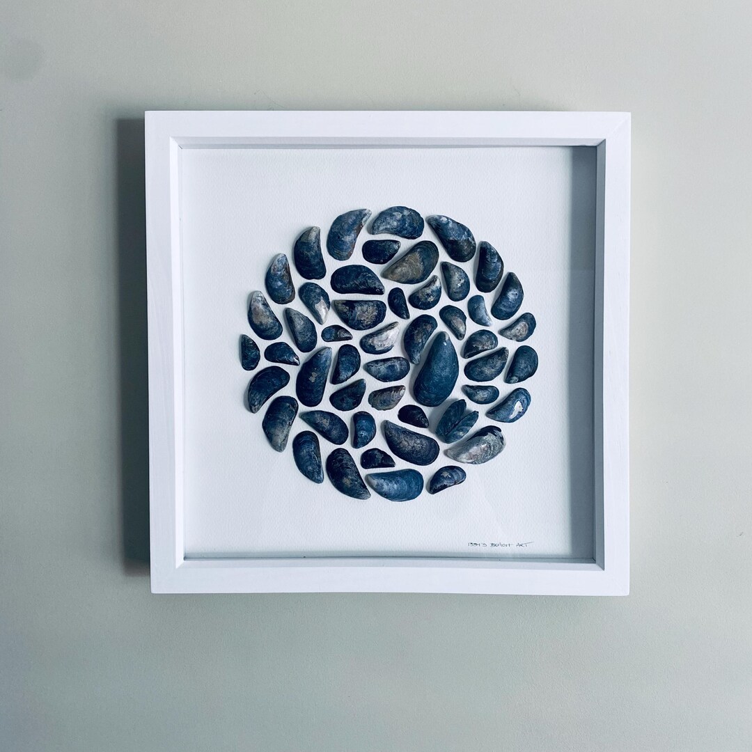Cornish Mussel Shell Art Picture • Handmade in Cornwall - Etsy