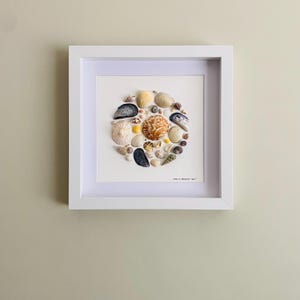 Cornish Shell Art • Coastal Art Picture • Handmade in Cornwall - Etsy