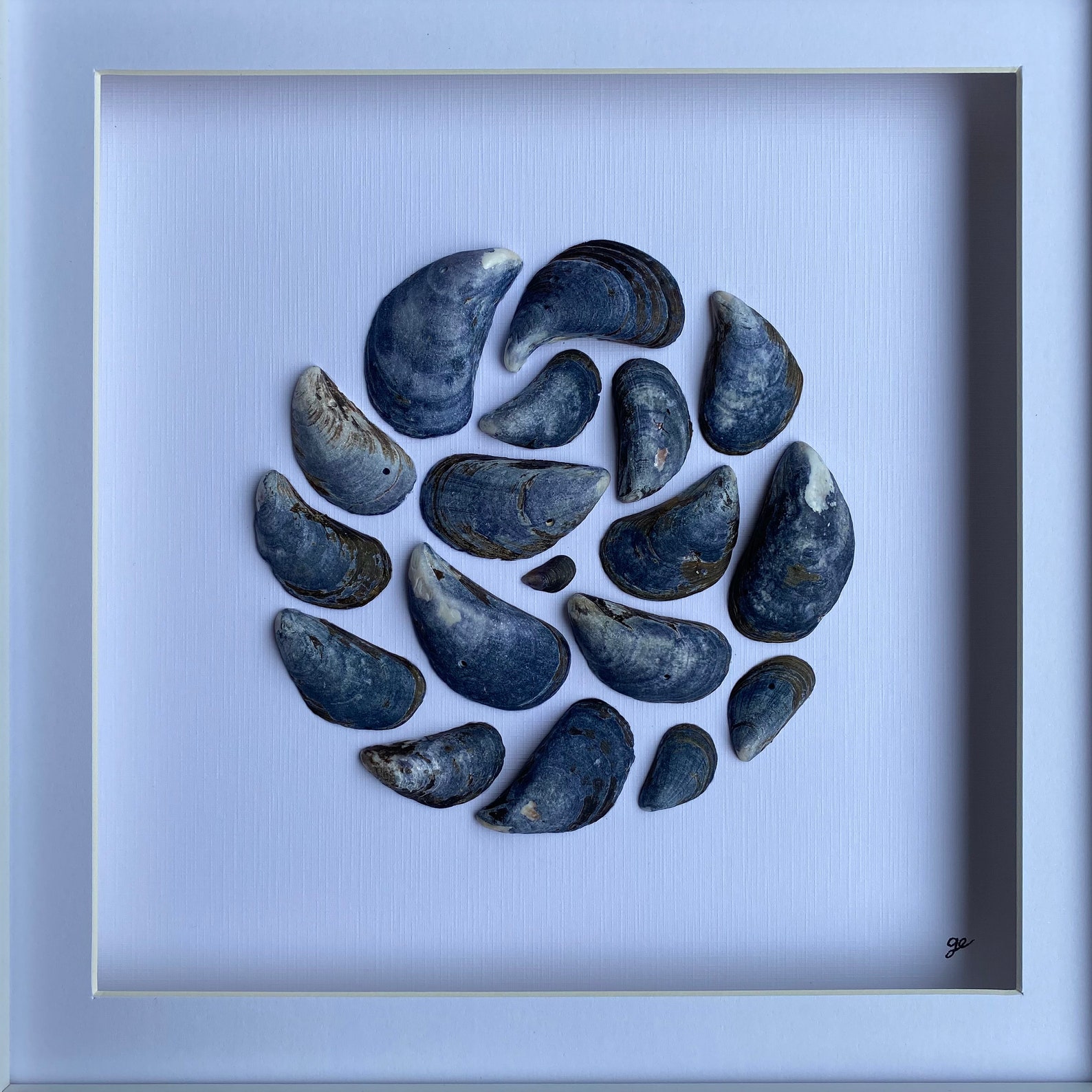 Cornish Mussel Shell Mandala Shell Art Picture Handmade in - Etsy