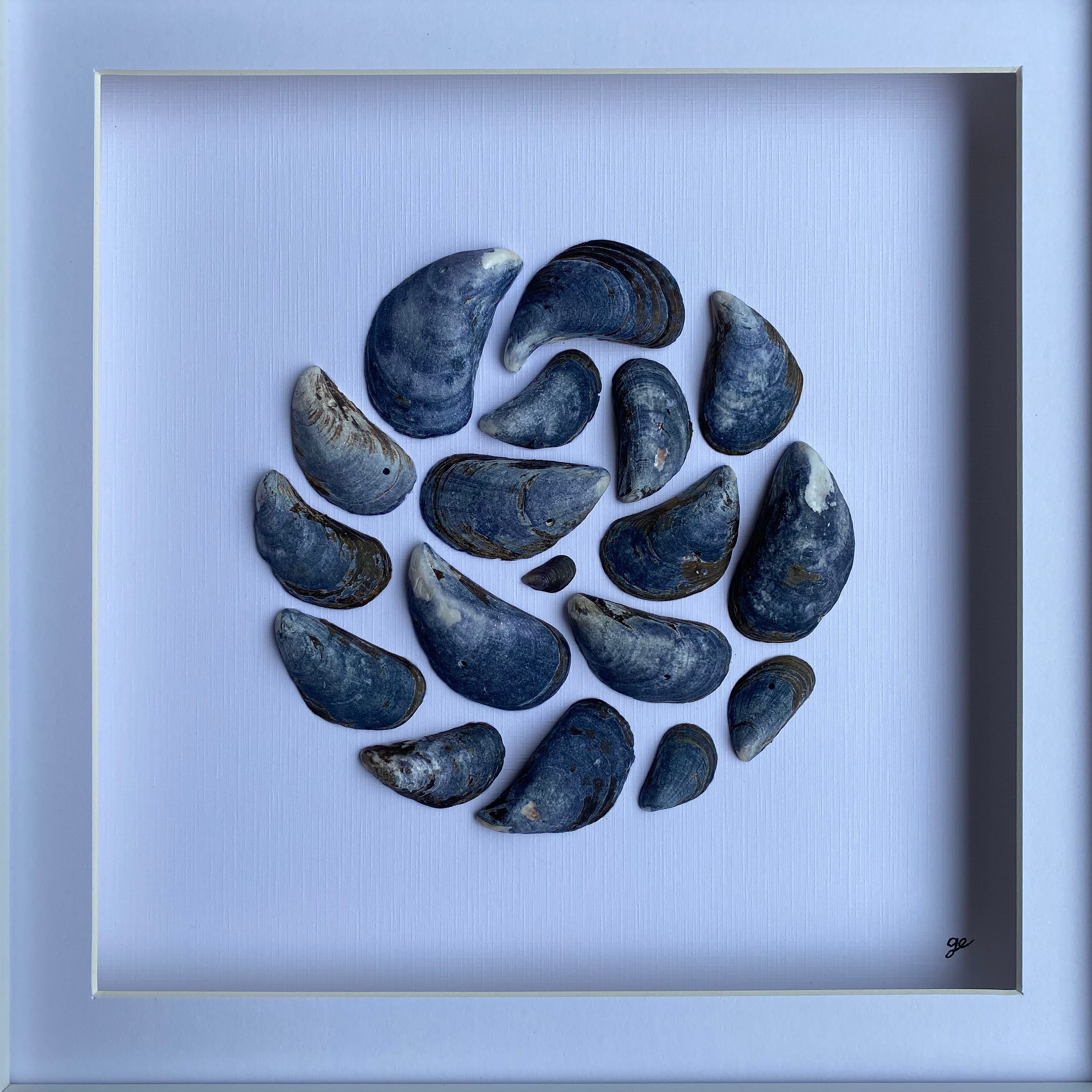 Cornish Mussel Shell Mandala Shell Art Picture Handmade in - Etsy
