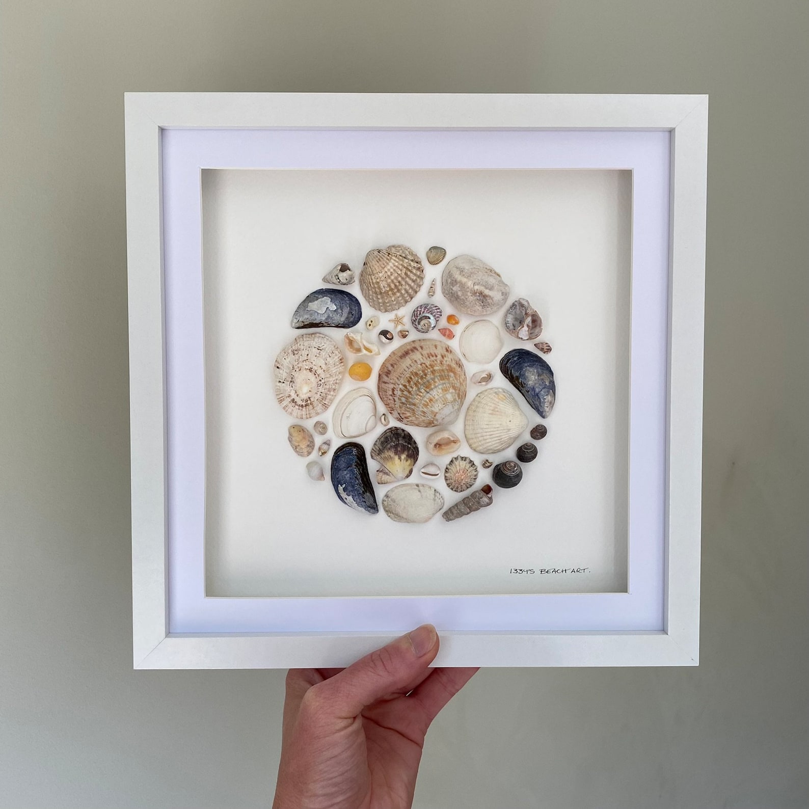 Shell Wall Art - Framed Coastal Picture Handmade in Cornwall - Etsy
