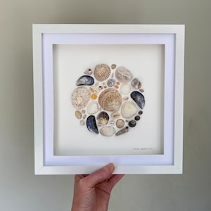 Cornish Shell Art • Coastal Art Picture • Coastal Home Decor • Ocean ...