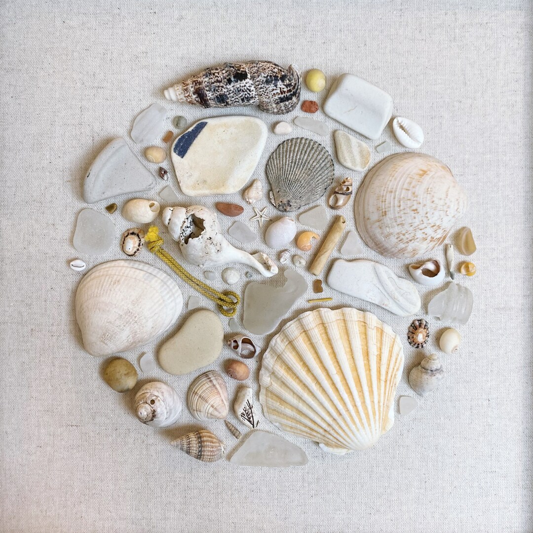 Cornish Shell Art and Sea Glass Picture Handmade in Cornwall - Etsy