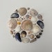 Cornish Shell Art Coastal Art Picture Handmade in Cornwall - Etsy