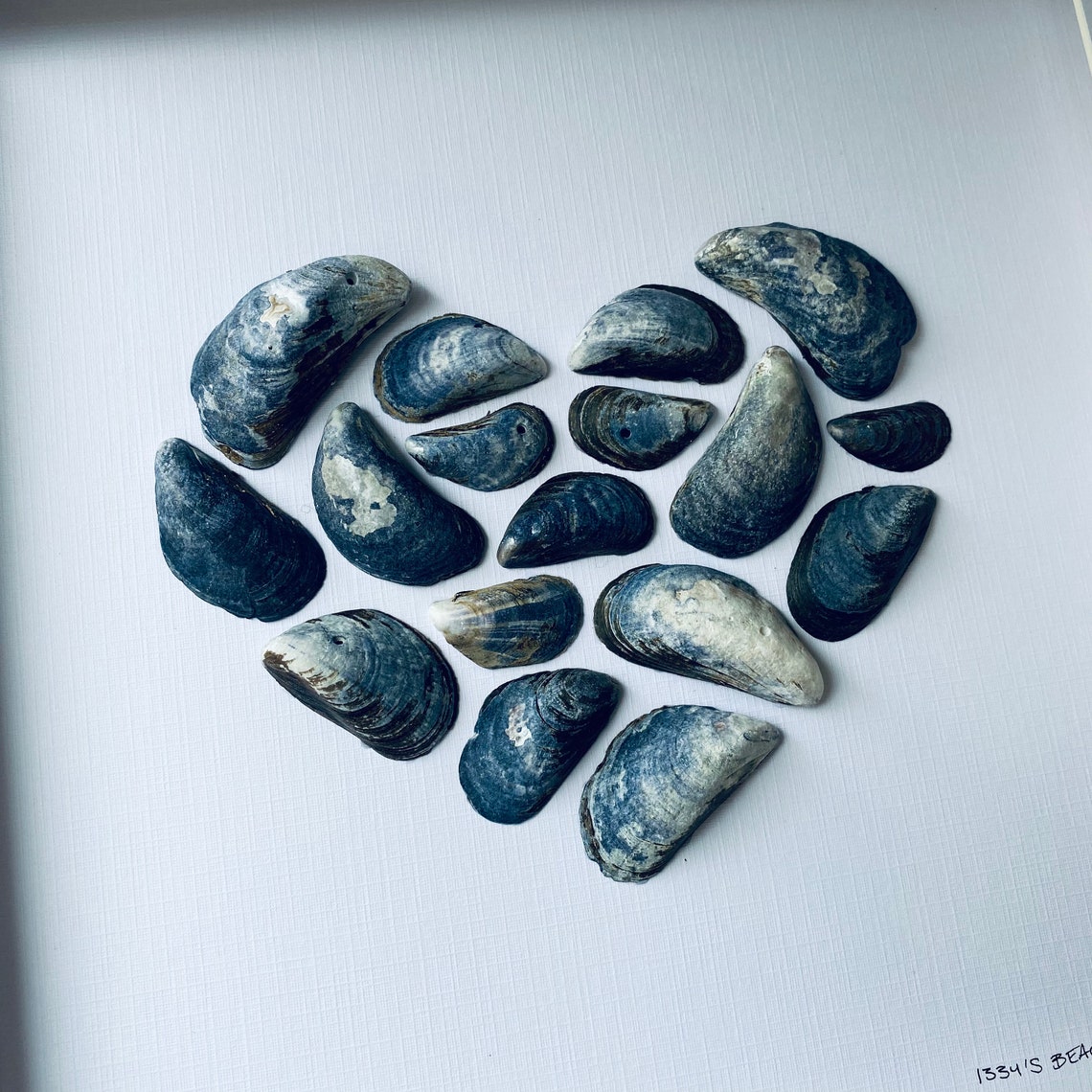 Cornish Helford Mussel Shell Heart Shell Art Picture - Etsy UK