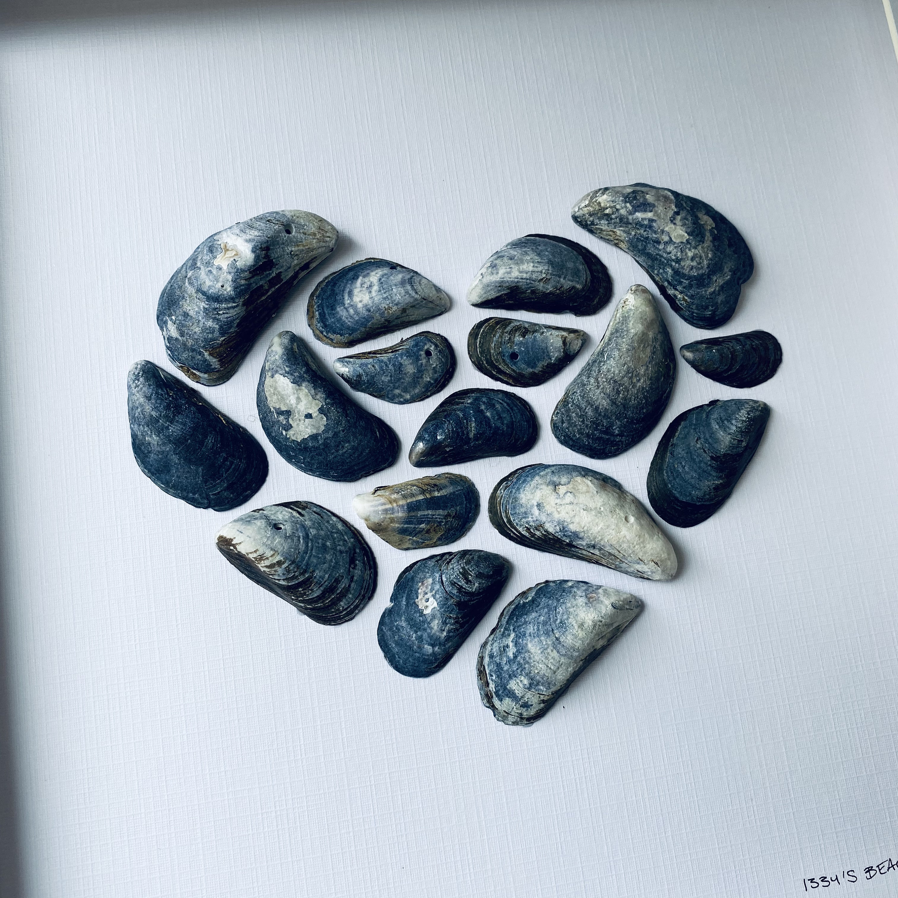 Cornish Helford Mussel Shell Heart Shell Art Picture - Etsy UK