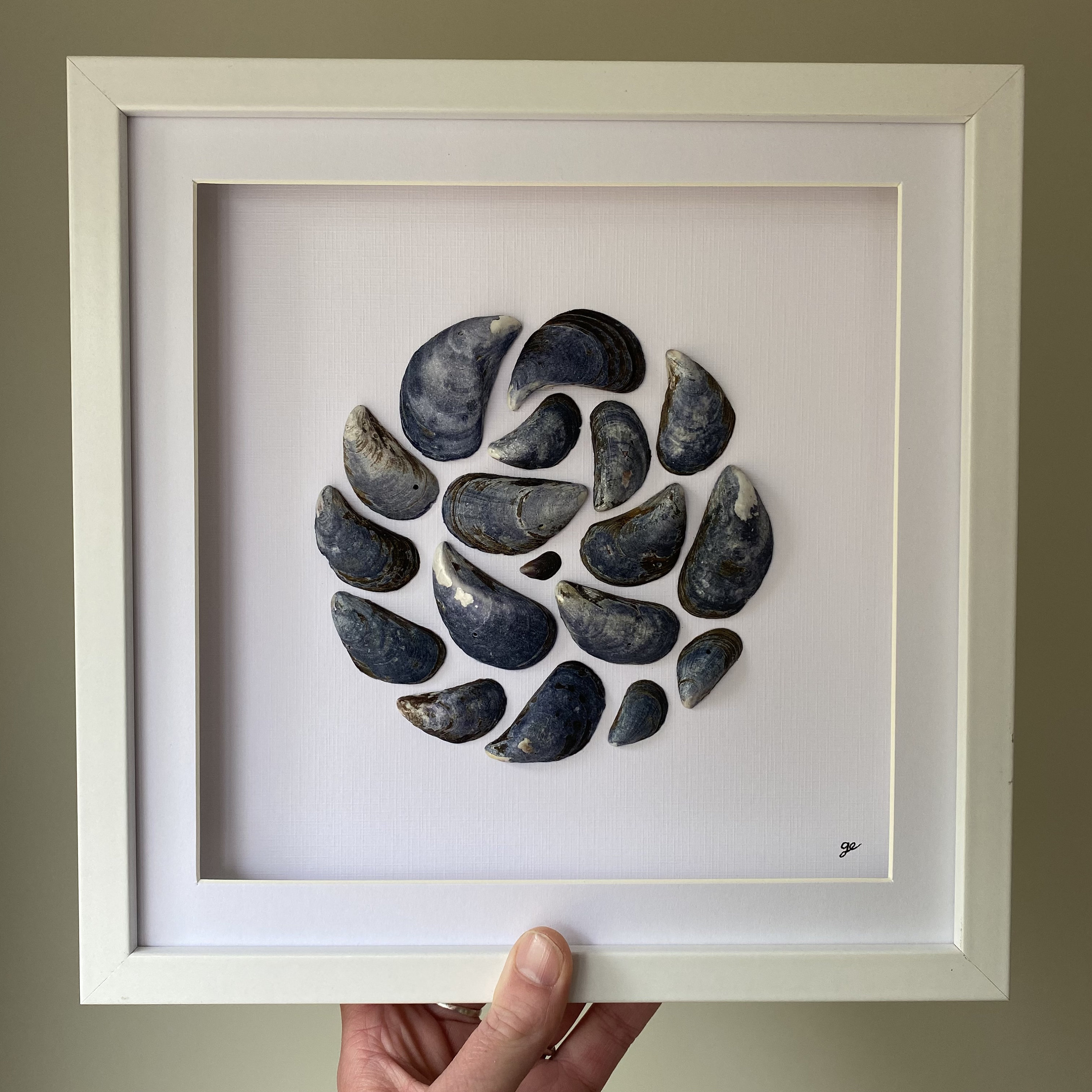 Cornish Mussel Shell Mandala Shell Art Picture Handmade in - Etsy
