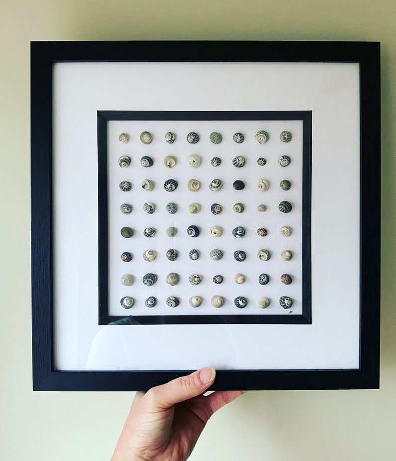 A Cornish Assembly Large Framed Shell Art Picture. Handmade - Etsy