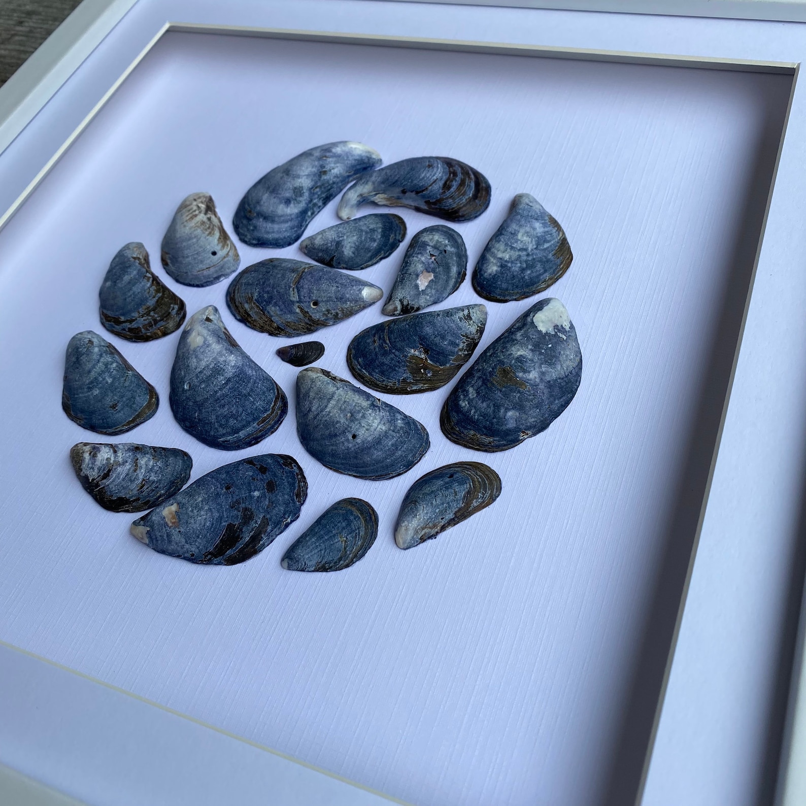 Cornish Mussel Shell Mandala Shell Art Picture Handmade in - Etsy