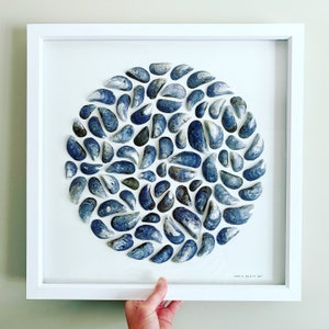 Extra Large Cornish Mussel Shell Mandala Framed Picture • Shell Art ...
