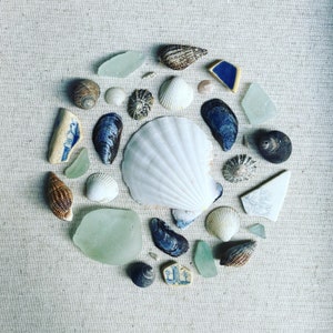 Cornish Shell Art Picture Sea Glass Art Handmade in Cornwall - Etsy