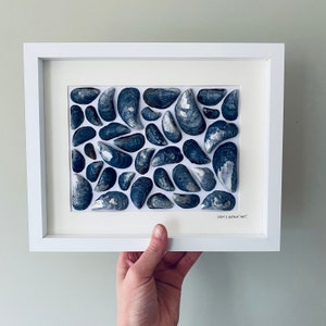 Cornish Mussels Shell Art Framed Picture Handmade in Cornwall - Etsy UK