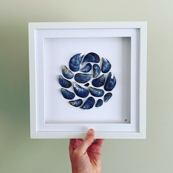Cornish Mussel Shell Mandala Shell Art Picture Handmade in - Etsy