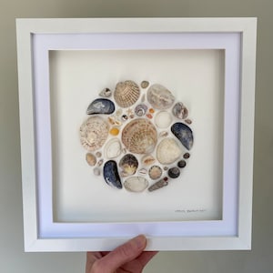 Cornish Shell Art • Coastal Art Picture • Handmade in Cornwall - Etsy
