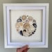 Cornish Shell Art Coastal Art Picture Handmade in Cornwall - Etsy