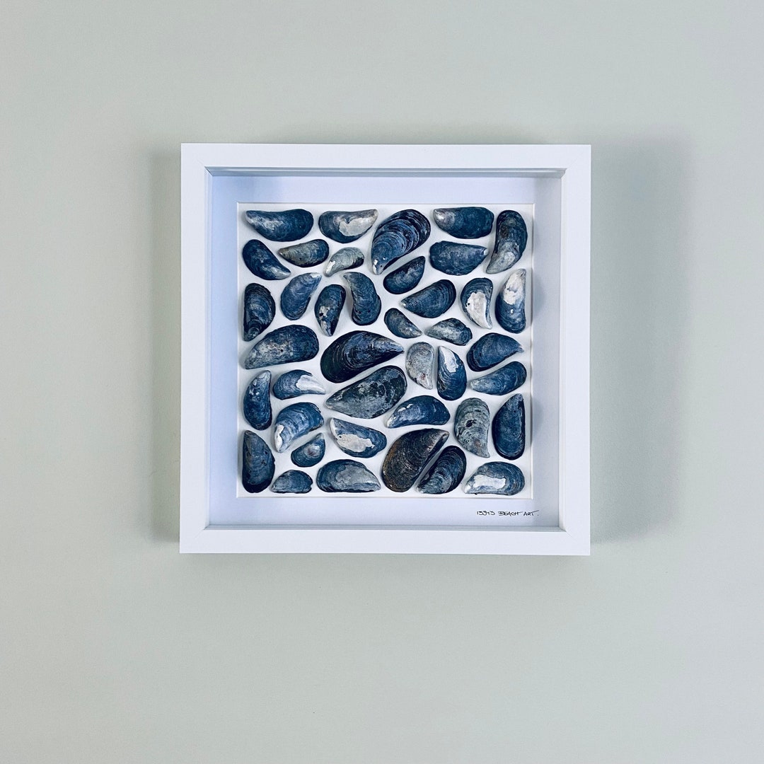 Cornish Mussel Shell Art Picture • Handmade in Cornwall - Etsy
