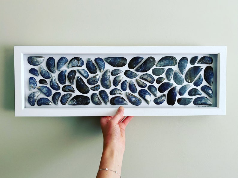Mussel Shell Wall Art - Framed Panoramic Picture Handmade in Cornwall ...