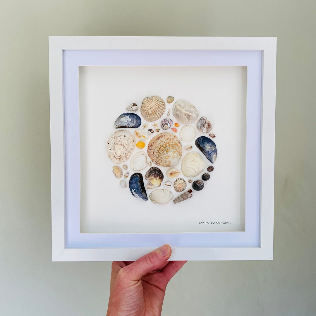 Cornish Shell Art • Coastal Art Picture • Coastal Home Decor • Ocean ...