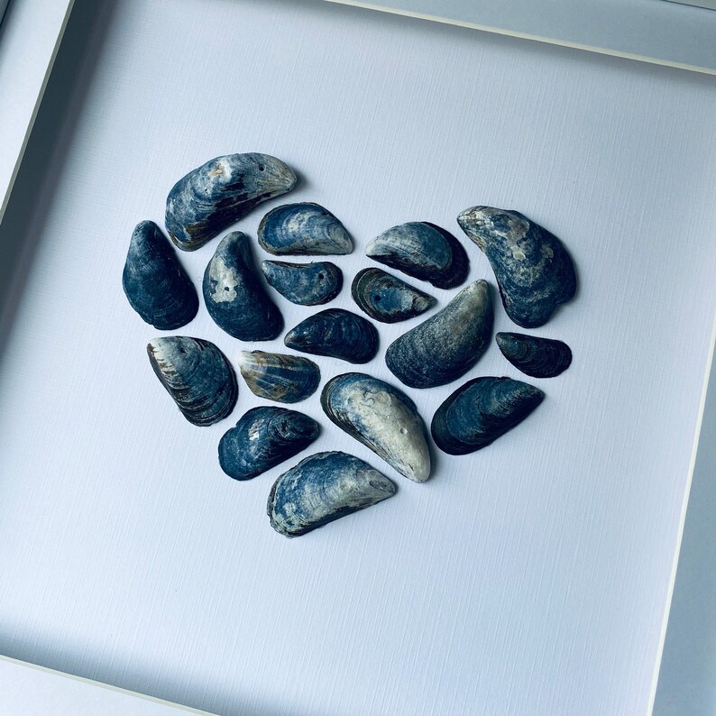 Cornish Helford Mussel Shell Heart Shell Art Picture - Etsy UK