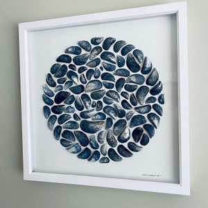 Extra Large Cornish Mussel Shell Mandala Framed Picture • Shell Art ...