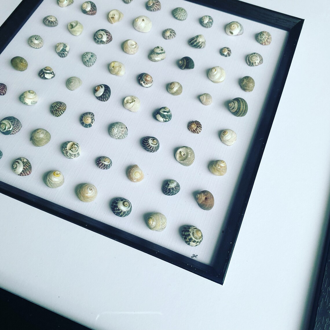 A Cornish Assembly Large Framed Shell Art Picture. Handmade - Etsy