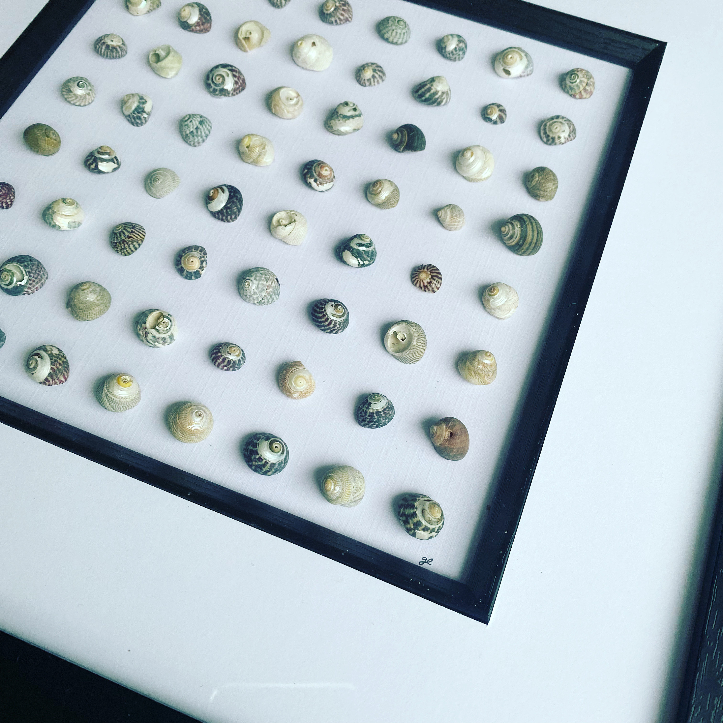 A Cornish Assembly Large Framed Shell Art Picture. Handmade - Etsy