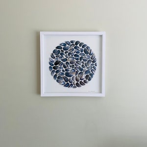 Extra Large Cornish Mussel Shell Mandala Framed Picture • Shell Art ...