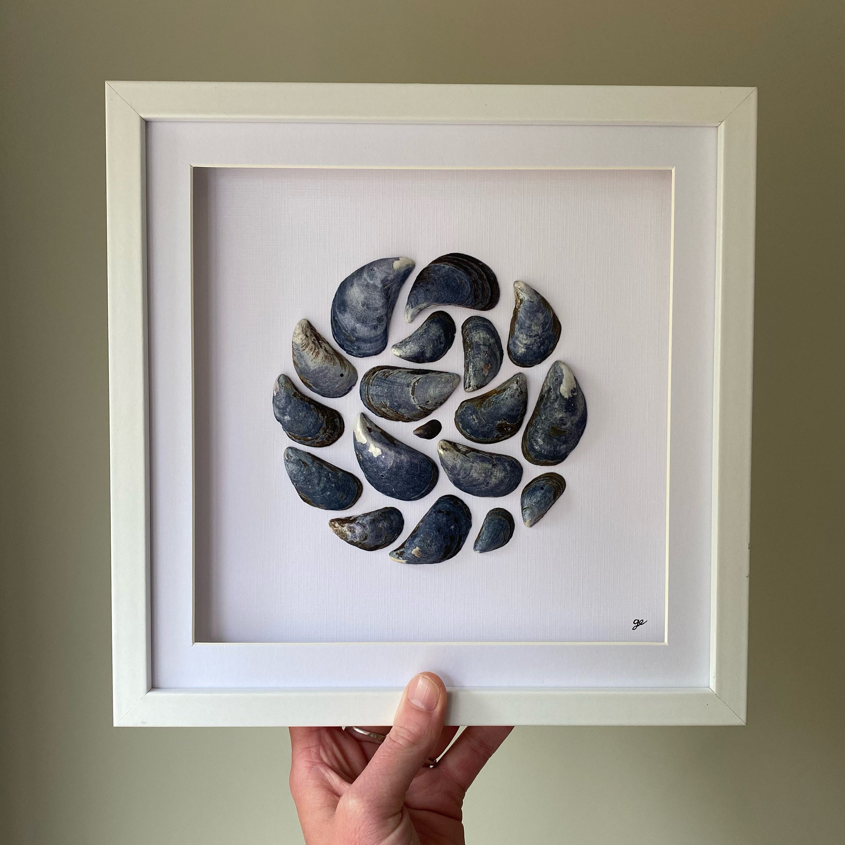 Cornish Mussel Shell Mandala Shell Art Picture Handmade in - Etsy