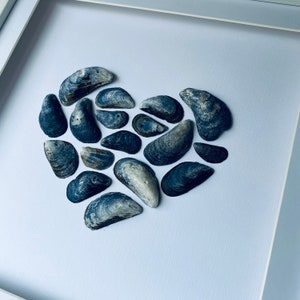 Cornish Helford Mussel Shell Heart Shell Art Picture - Etsy