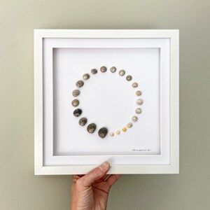 Cornish Shell Art Picture • Periwinkle Art • Handmade in Cornwall - Etsy