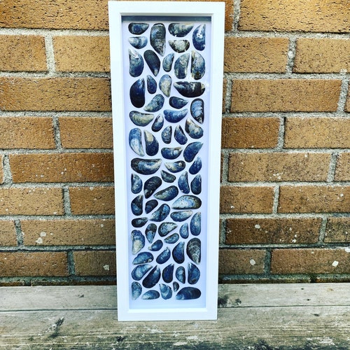 Cornish Mussel Shell Mandala Shell Art Picture Handmade in - Etsy UK