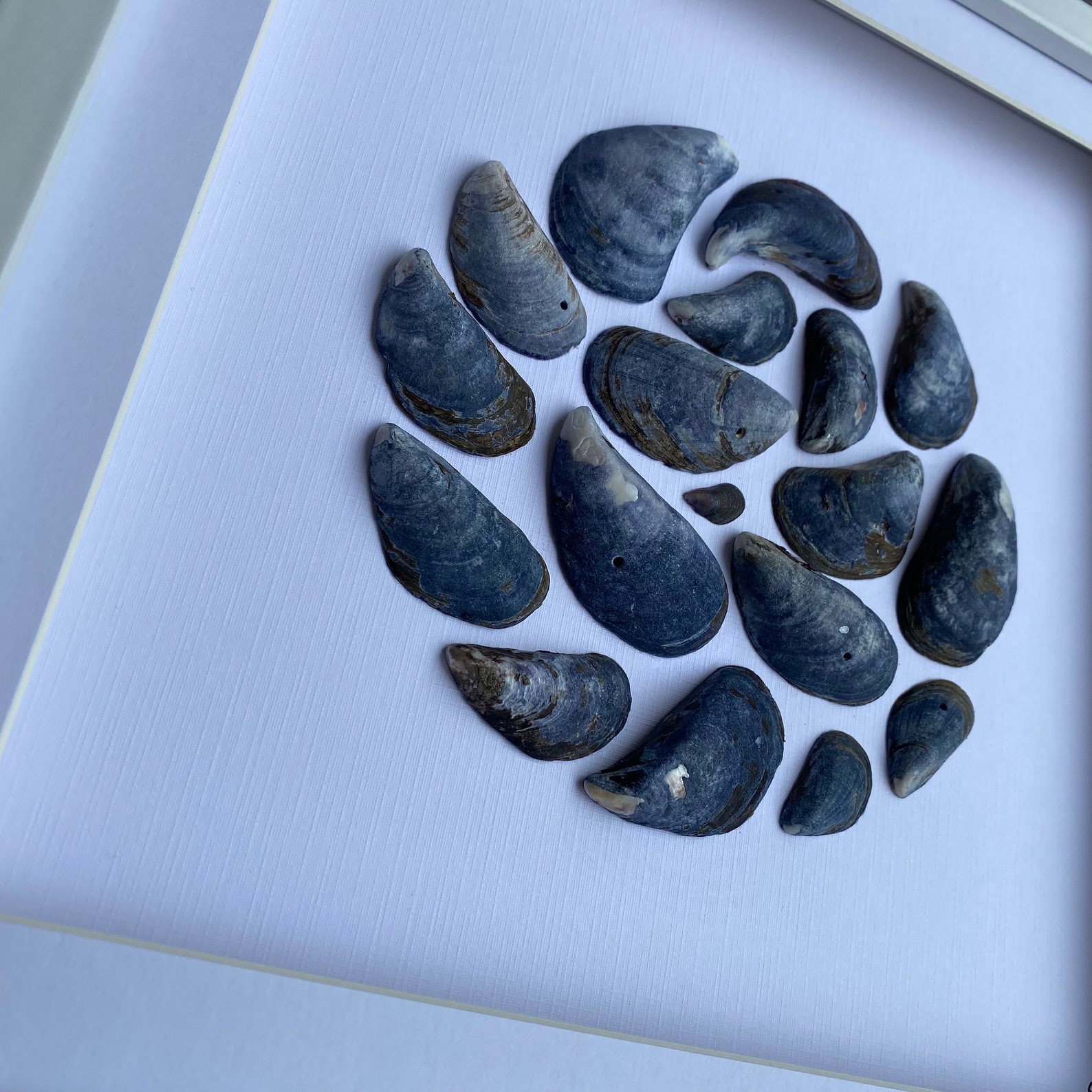 Cornish Mussel Shell Mandala Shell Art Picture Handmade in - Etsy