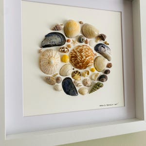 Cornish Shell Art • Coastal Art Picture • Handmade in Cornwall - Etsy