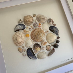 Cornish Shell Art • Coastal Art Picture • Handmade in Cornwall - Etsy