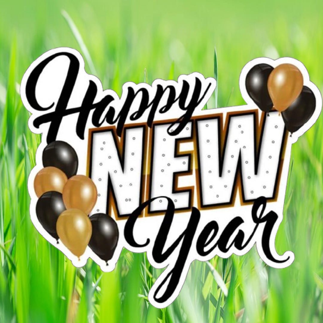 Light up Happy New Year Yard Sign Includes a 50ct String Light and Yard ...