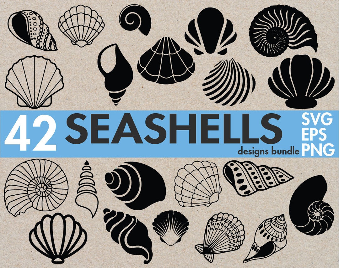 Schelpen SVG Bundel Sea Shells SVG-bestanden voor Cricut - Etsy België