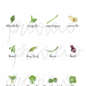 Garden Labels: Vegetable and Fruits | Printable Seed Tags | DIY Seed ...