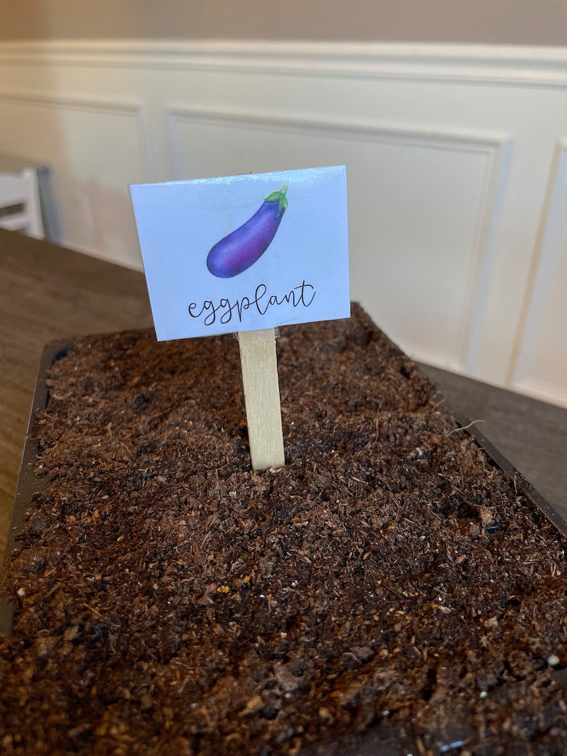 Garden Labels: Vegetable and Fruits | Printable Seed Tags | DIY Seed ...