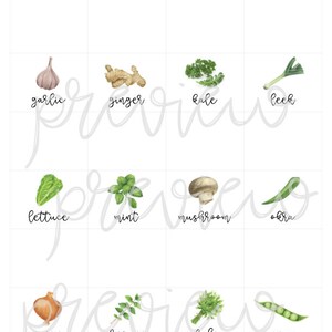 Garden Labels: Vegetable and Fruits | Printable Seed Tags | DIY Seed ...