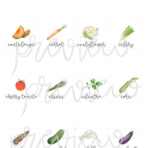 Garden Labels: Vegetable and Fruits | Printable Seed Tags | DIY Seed ...