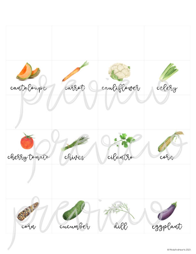 Garden Labels: Vegetable and Fruits | Printable Seed Tags | DIY Seed ...
