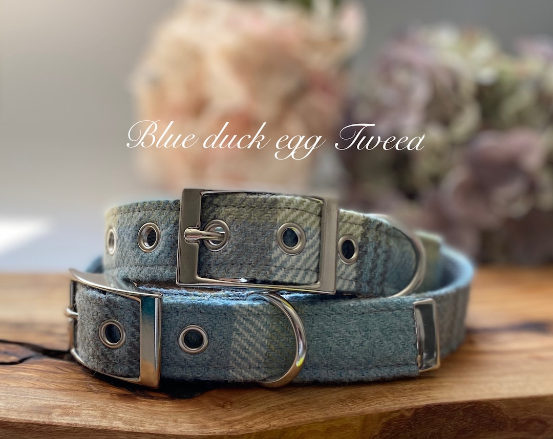 Duck Egg Blue Tweed Dog Collar, Matching Lead Available - Etsy