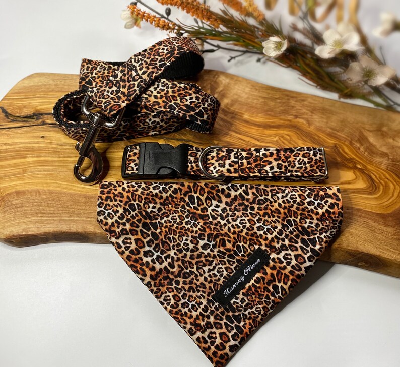 Cheetah Print Dog Lead, Standard Length, Orange, Black, Brown - Etsy
