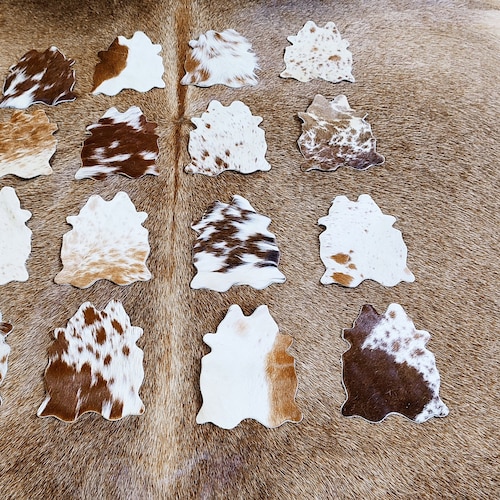 Cowhide Coasters Real Cowhide Coaster Brown and White Cowhide - Etsy